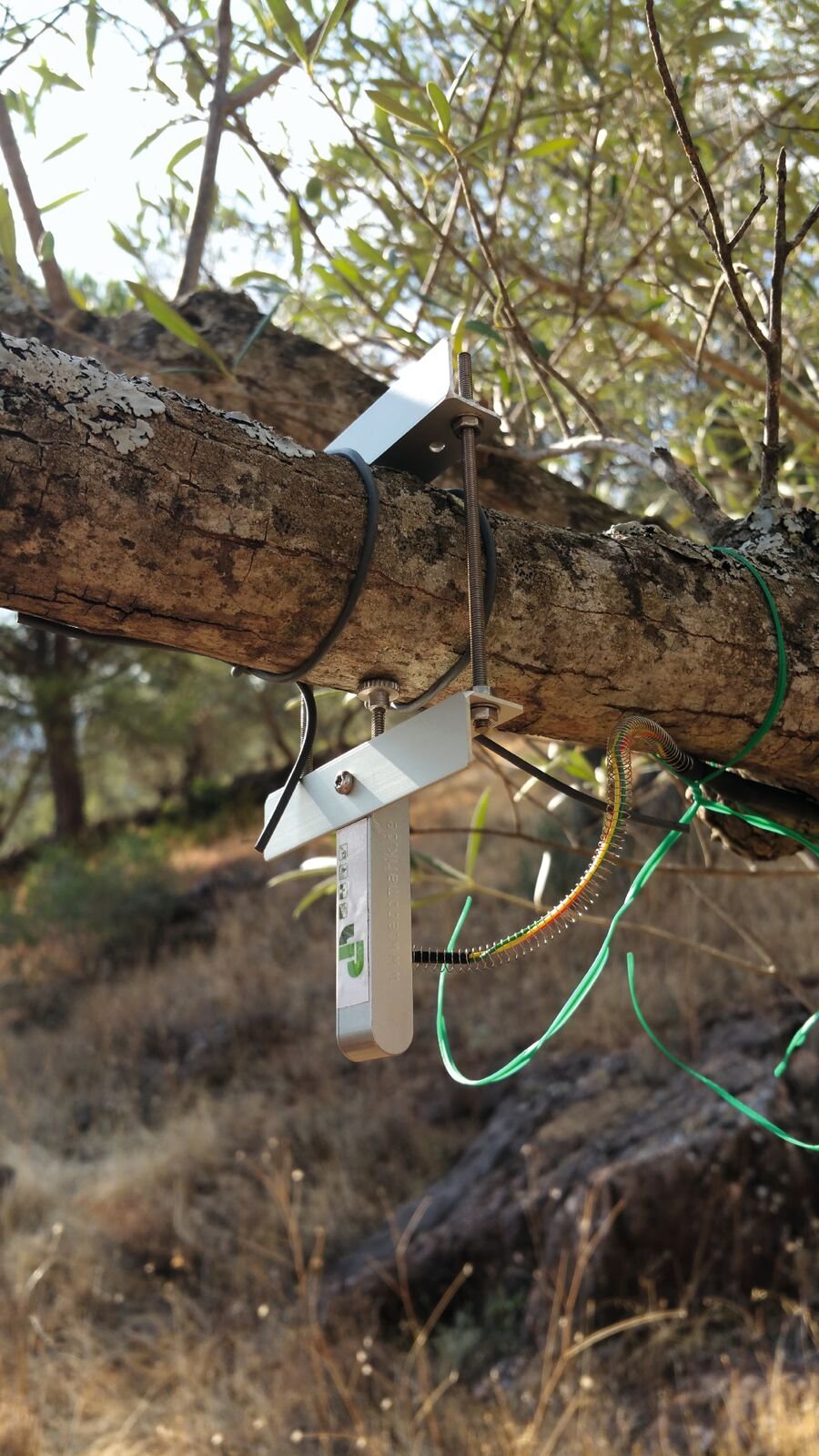 Thomas Lommel | Naturkosmetik von OLIVEDA - Partner FR.de