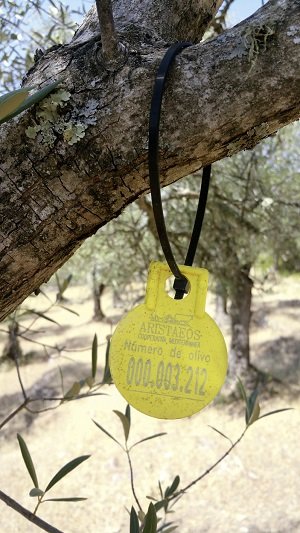 Thomas Lommel Oliveda | Mensch und Natur in Symbiose - Partner FR.de